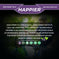 Maqui Berry Capsules – Oomph Naturals